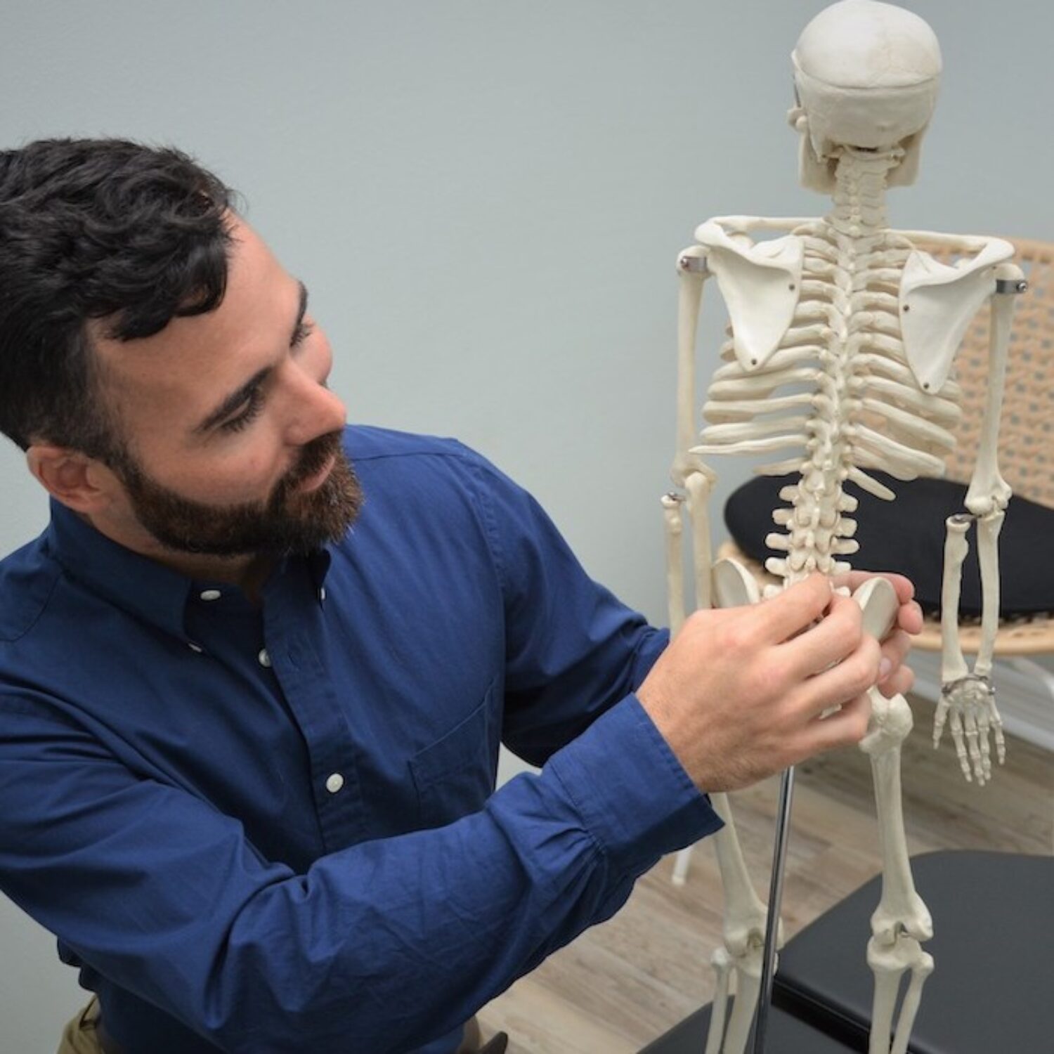 Services - Innate Chiropractic – N8 Chiropractic and Wellness - Dr ...